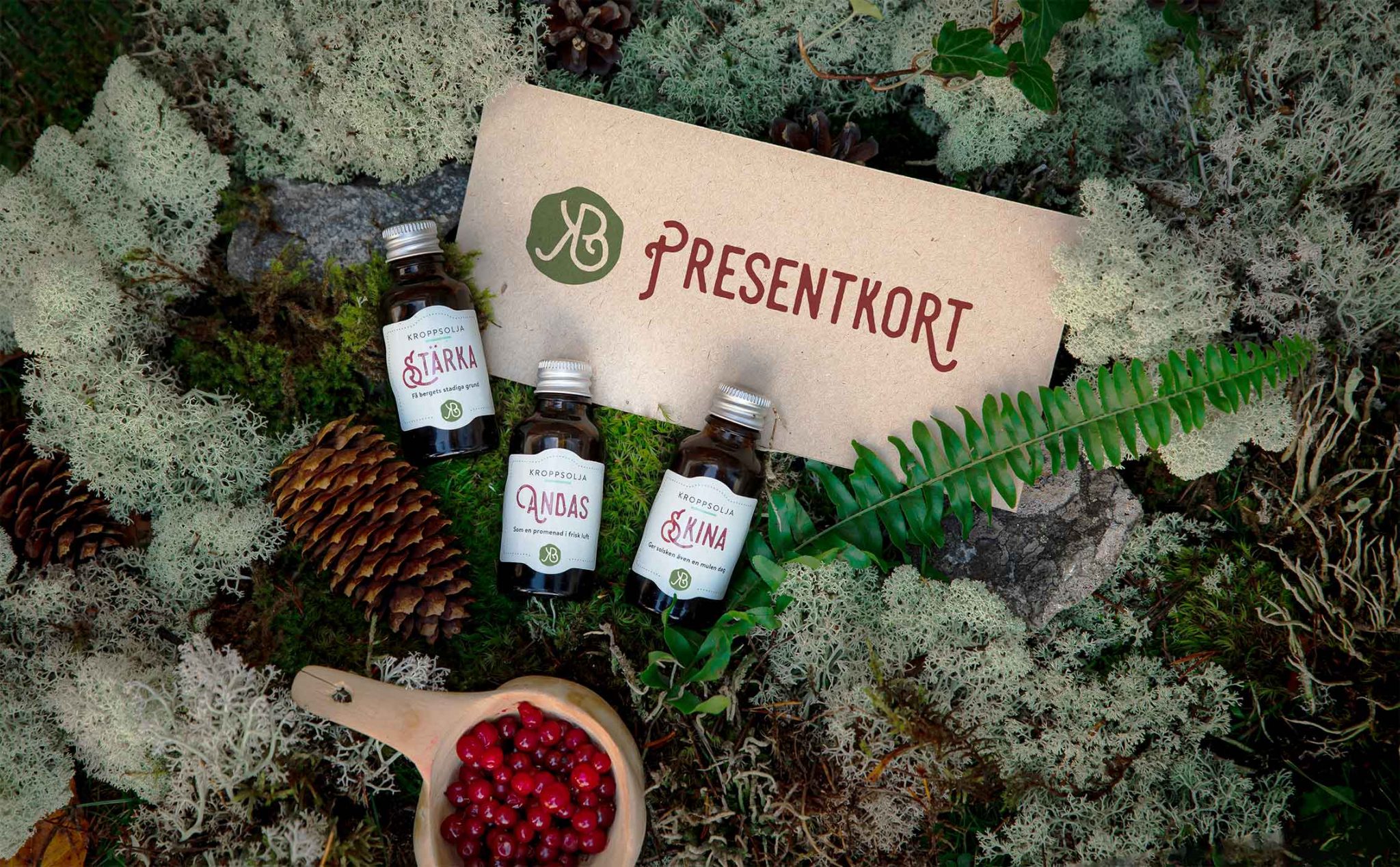 Start - Kroppsbalans